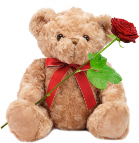 How To Draw A Teddy Bear Holding A Rose
